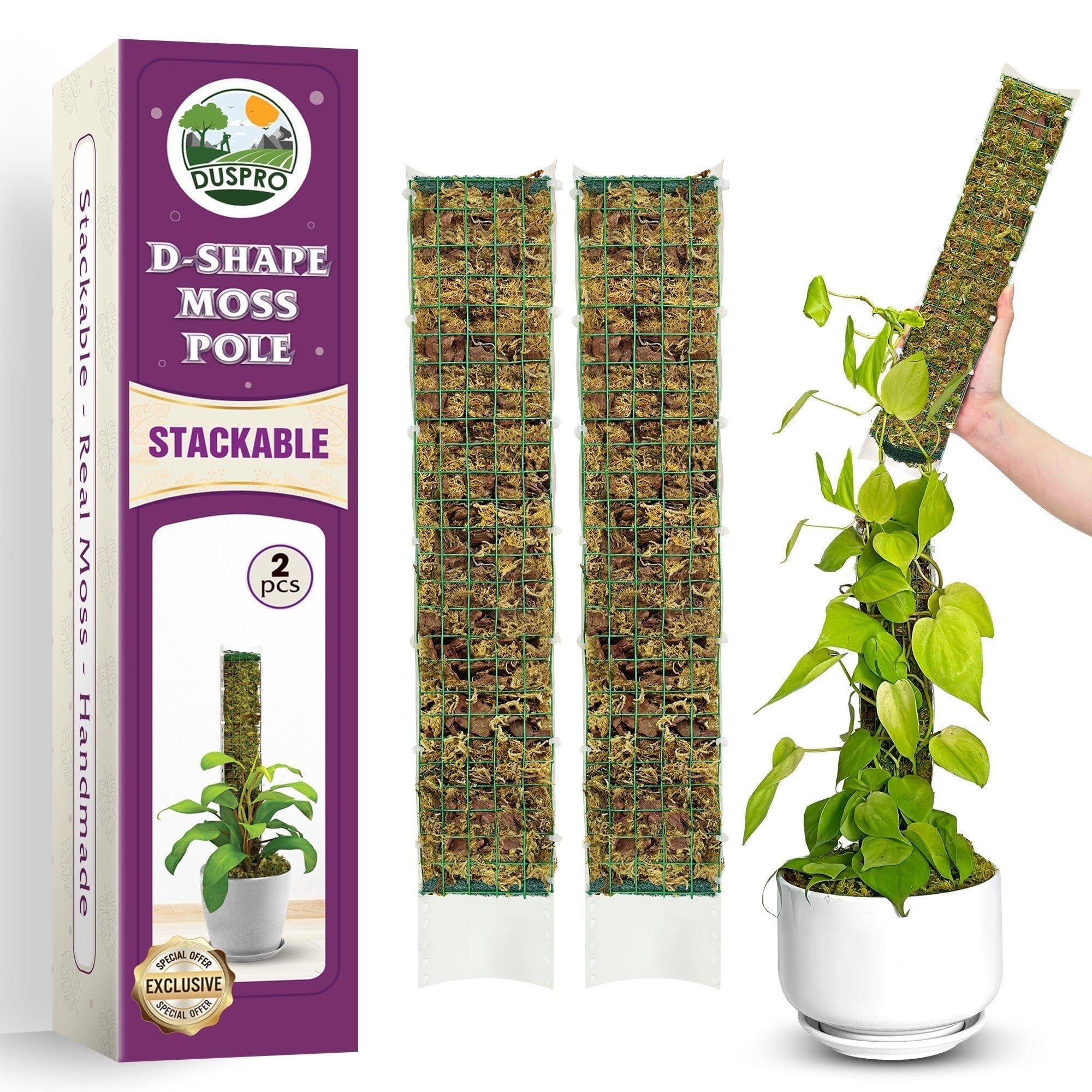 DUSPRO D-Shaped Plastic Moss Poles for Climbing Plants Monstera ...