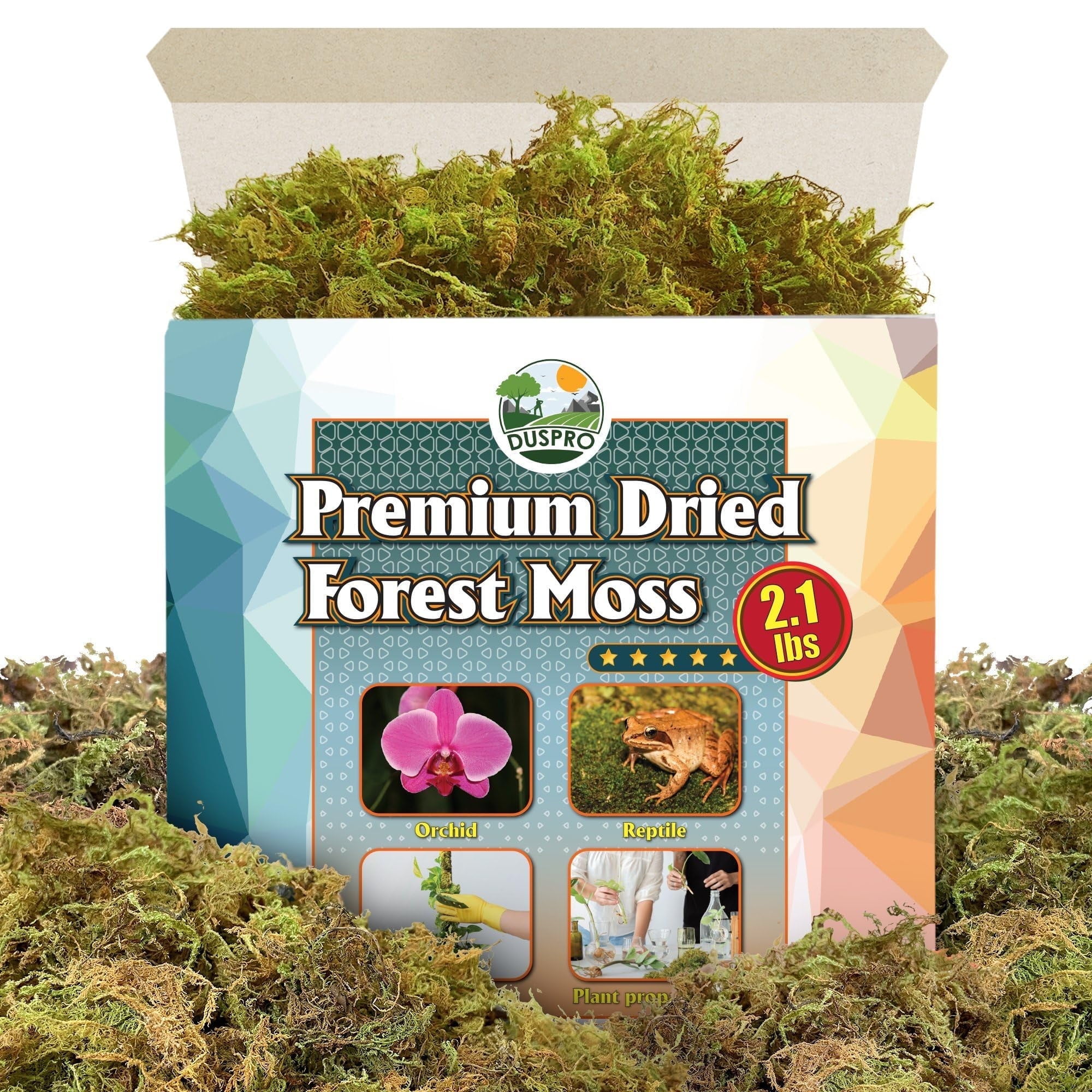 DUSPRO Dried Moss for Potted Plants, Forest Orchid Moss for Potting Mix ...