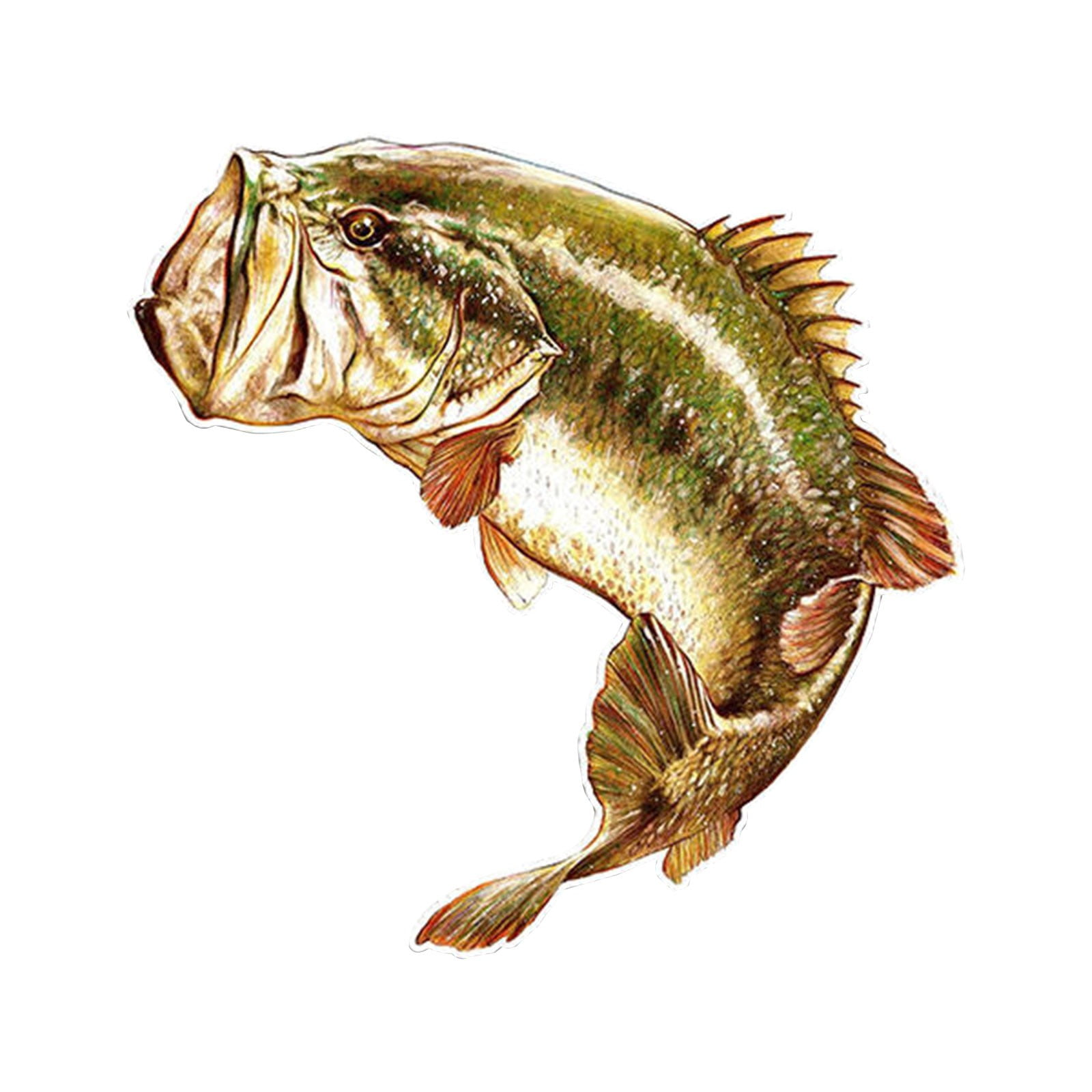 DVKOVI 8 Inch Laser Fish Cartoon Car Sticker Car Decoration Sticker ...