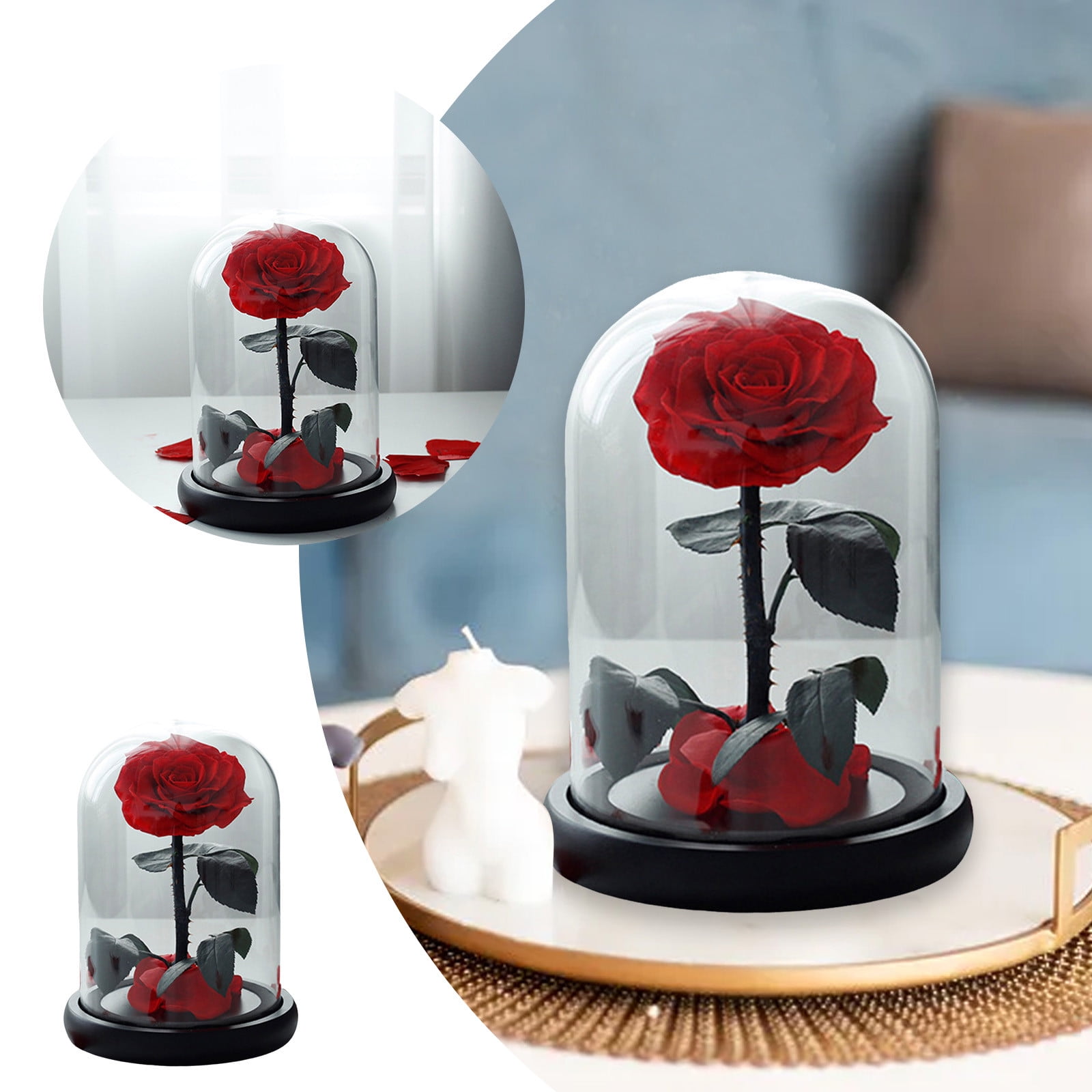 DVKOVI Preserved Red Rose in Glass Dome Real Roses Preserved Flowers ...