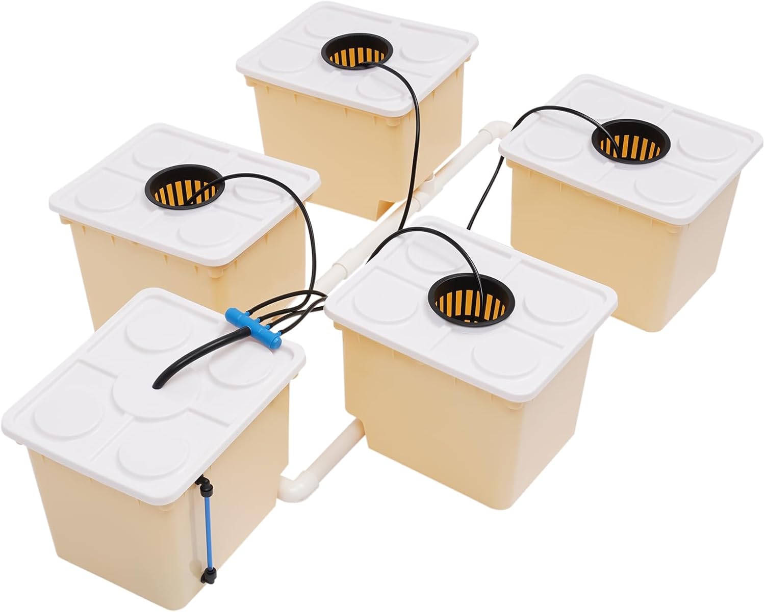 DWC Hydroponic System, 5-Buckets Deep Water Culture Hydroponic System ...