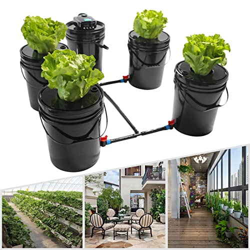 DWC Hydroponic System, 5 Gallon 5 Bucket Deep Water Culture DWC ...