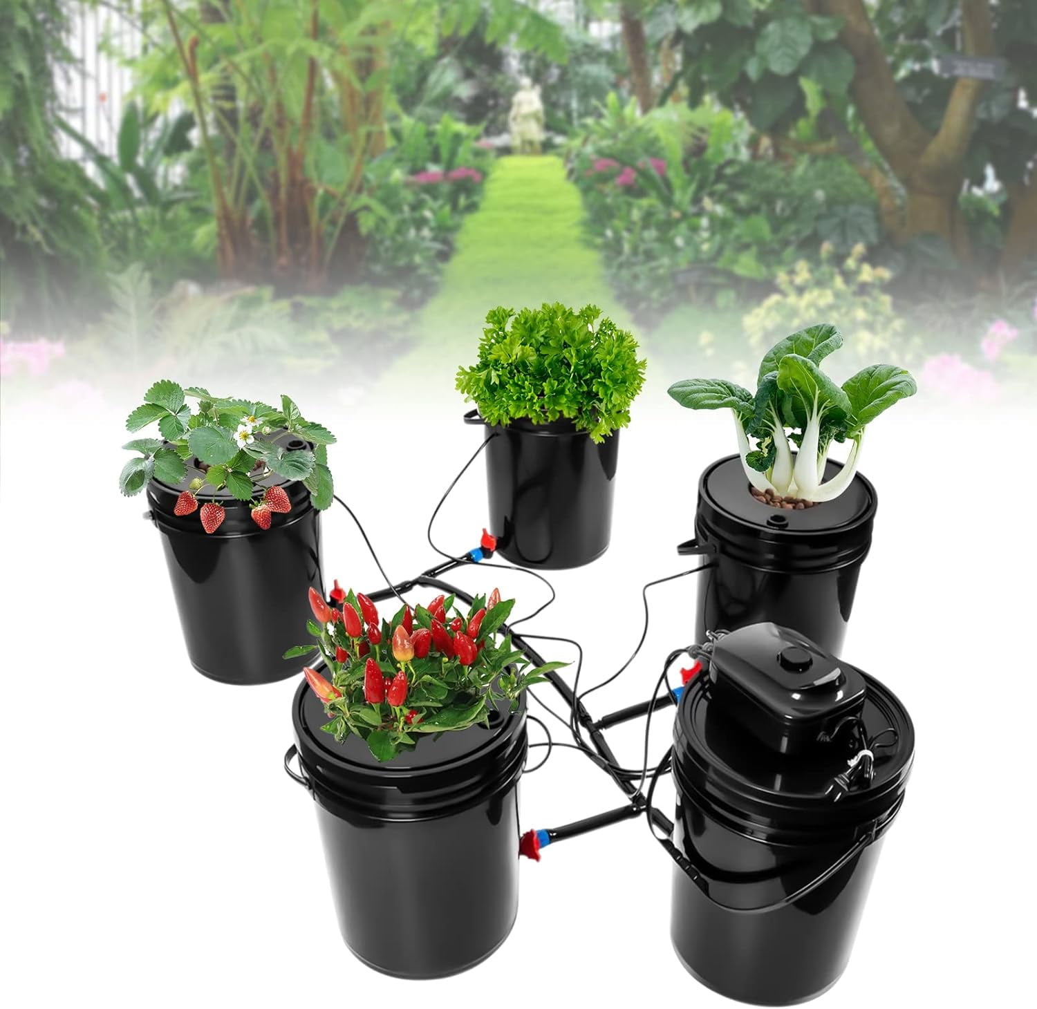 DWC Hydroponic System, 5 Gallon 5-Bucket Deep Water Culture DWC Hydroponic Grow System Kit ...