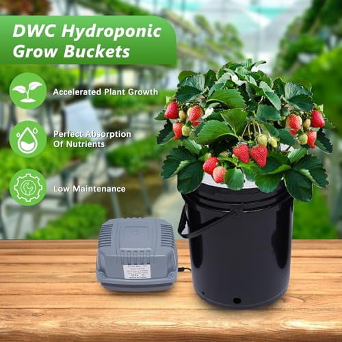 DWC Hydroponic System Kit, DWC 5 Gallon 6 Buckets Hydroponics Growing System, Hydroponics ...