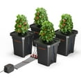 DWC Hydroponics Grow System with 7-Gallon Deep Water Culture ...