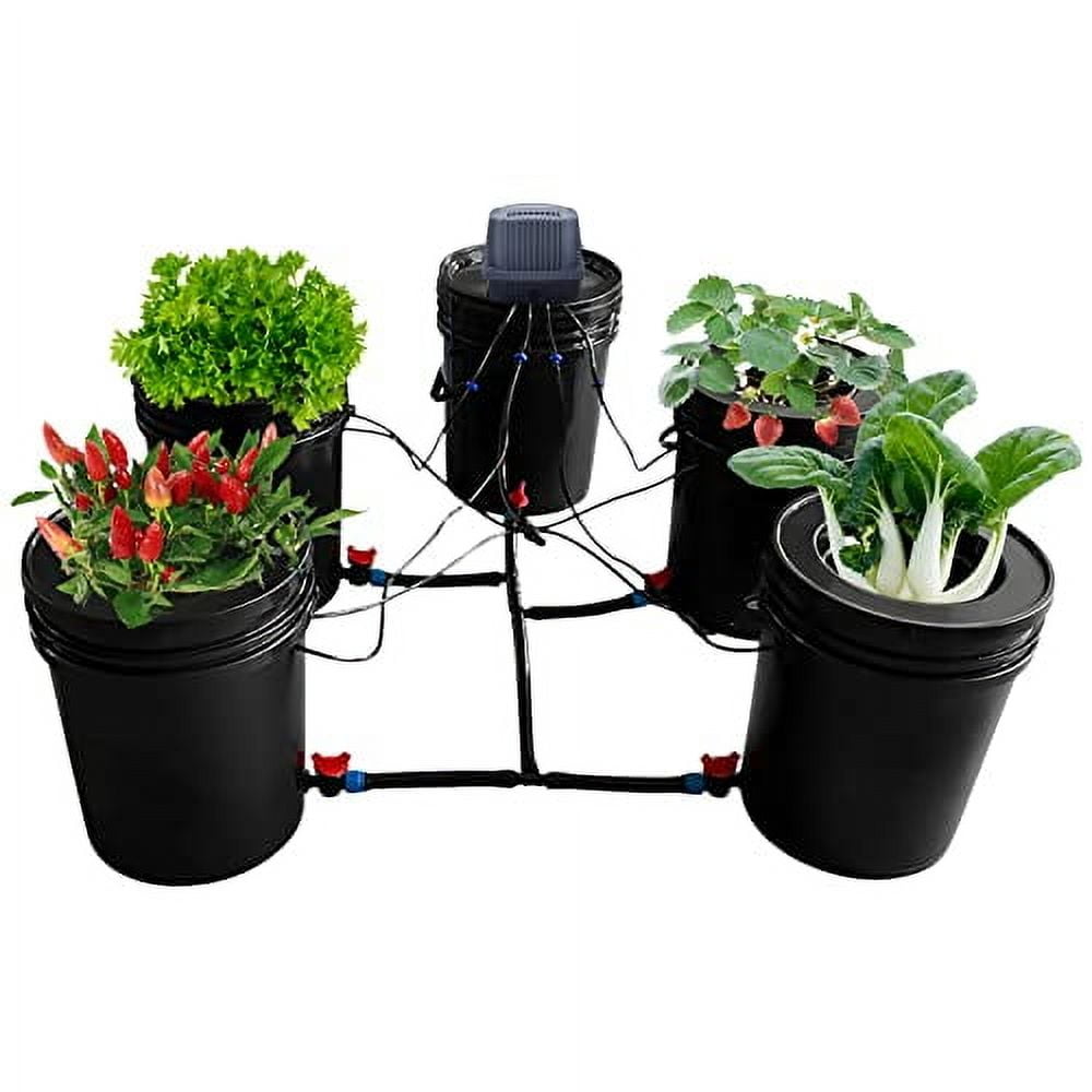 DWC Hydroponics Grow System Kit, 5 Buckets 5 Gallon Recirculating Deep Water Culture Kit with 4 ...