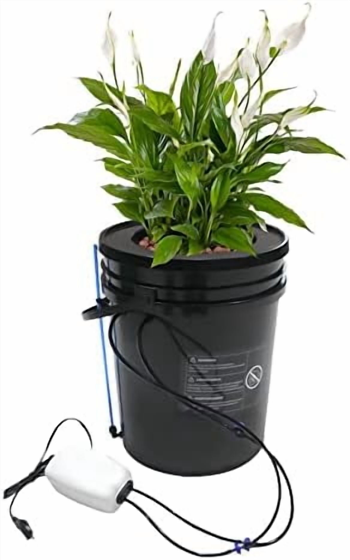 DWC Hydroponics Growing System, 5-Gallon Deep Water Culture ...