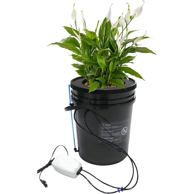DWC Hydroponics Growing System, 5-Gallon Deep Water Culture, Recirculating Drip Garden System ...