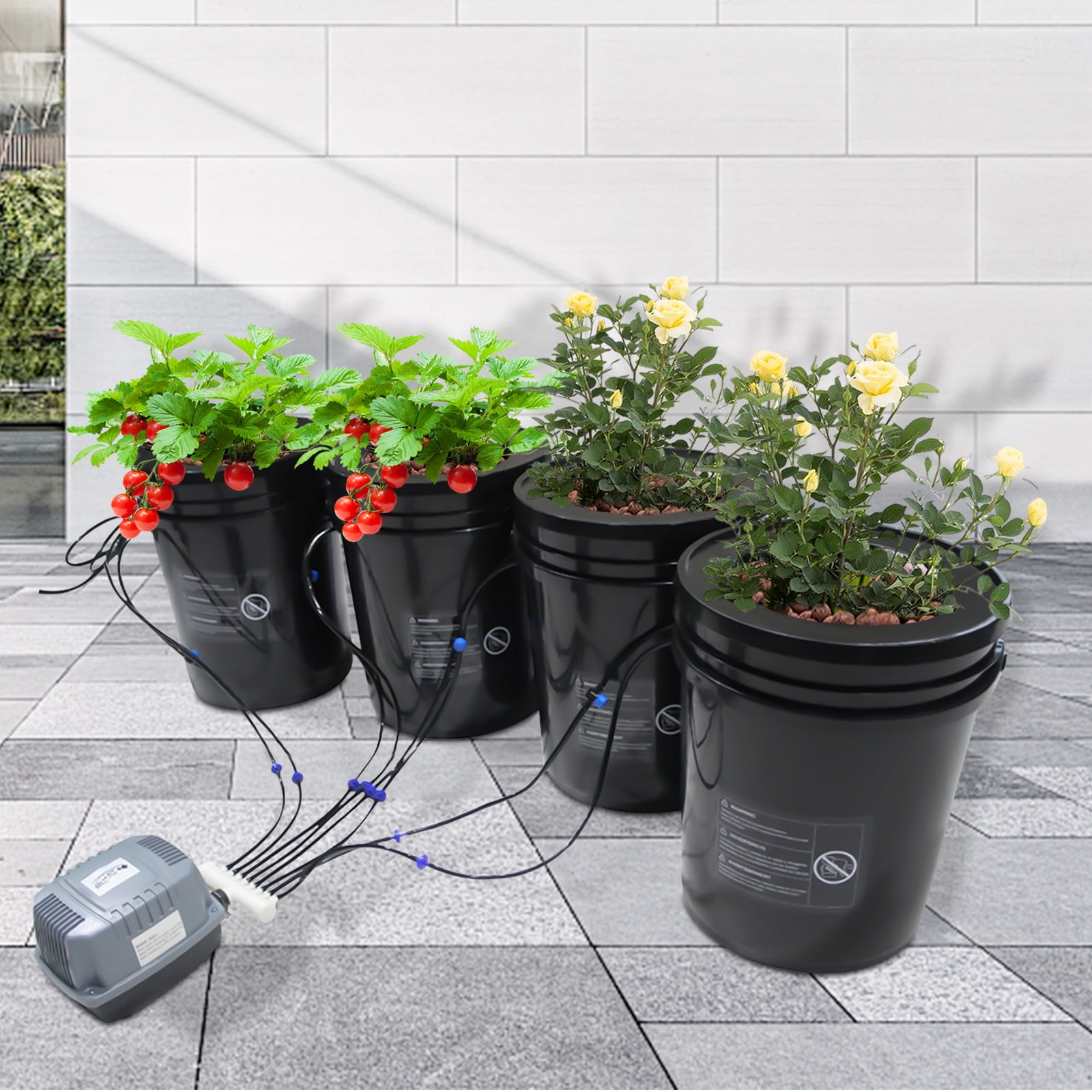 DWC Hydroponics Growing System, 5-Gallon Deep Water Culture ...