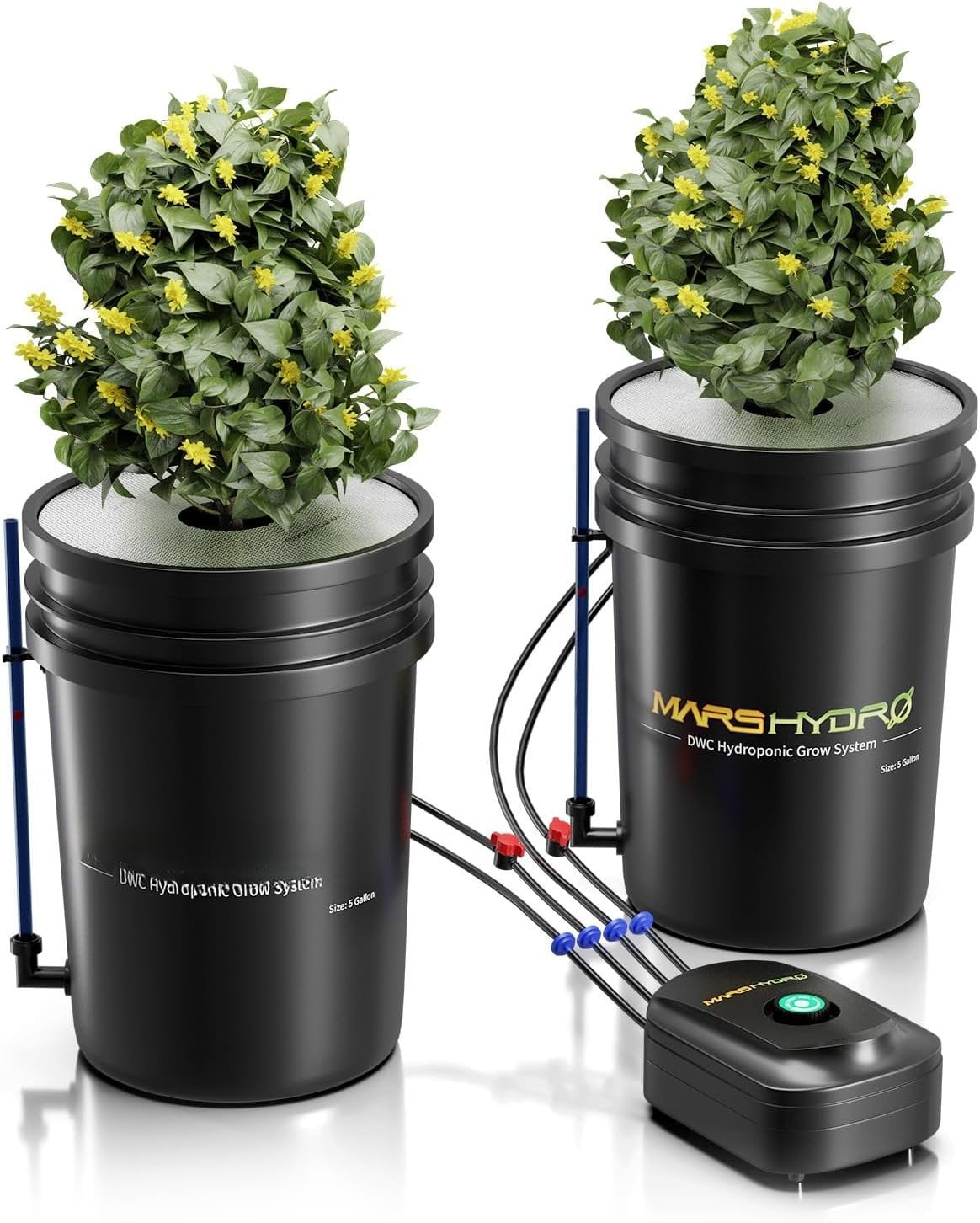 DWC ponics Grow System 5 Gallon Deep Water Culture with 8W Air Pump ...