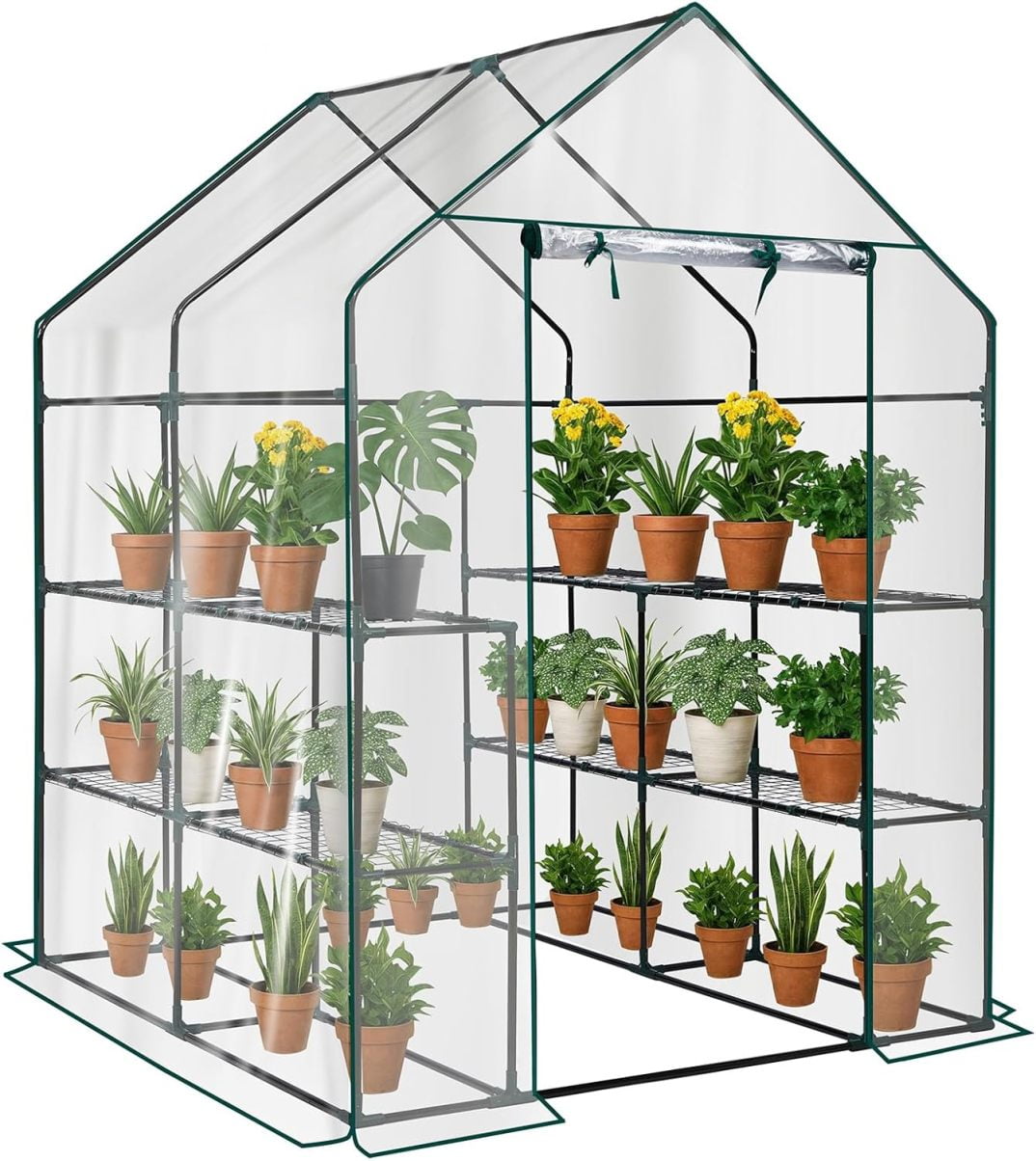 DWQF Walk-in Greenhouse, Outdoor Durable PVC Plant Green House for ...