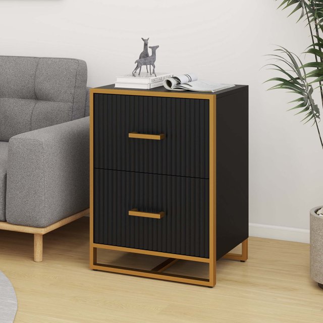 DWVO 2 Drawer File Cabinet with Metal Legs , Wood Lateral Filing ...