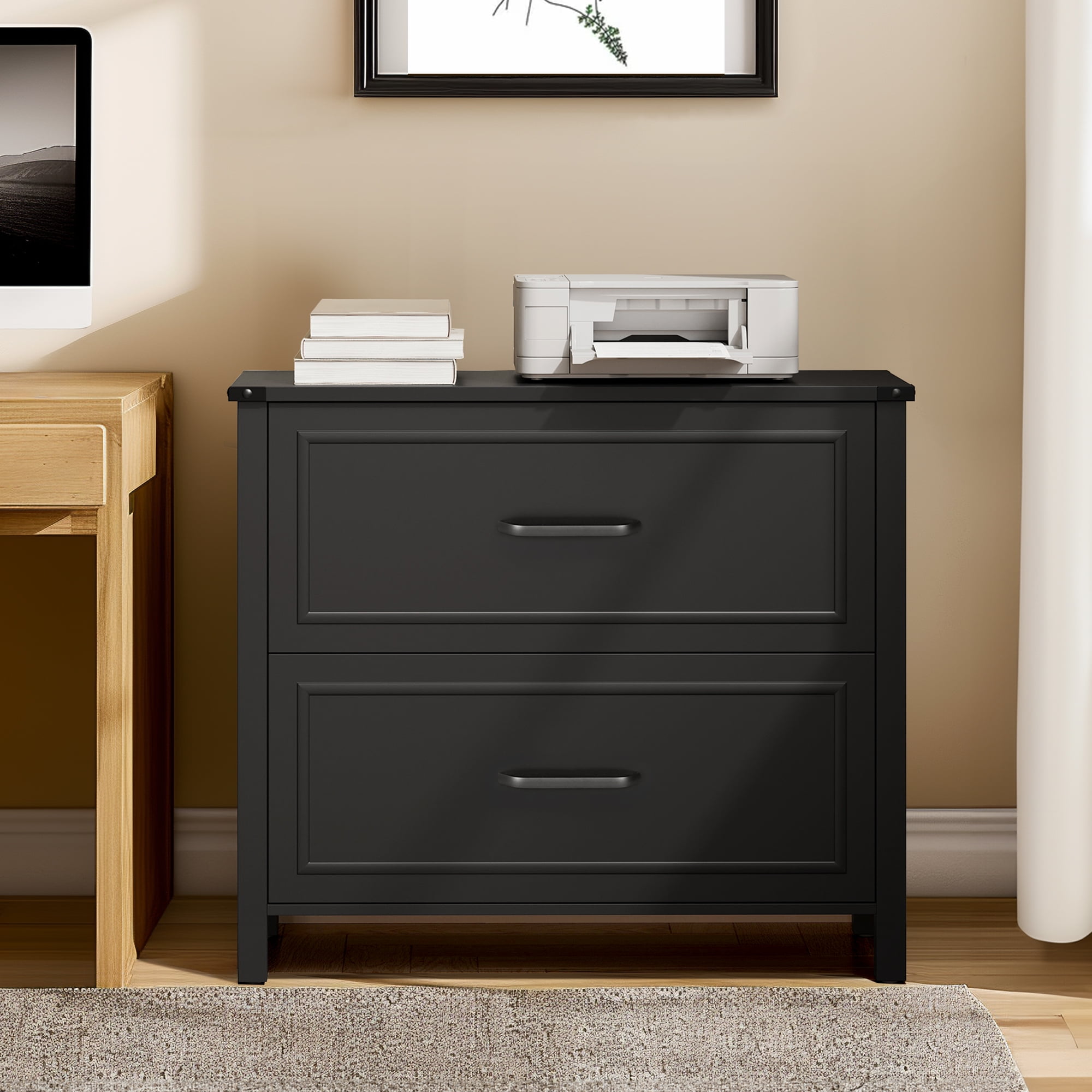DWVO 2-Drawer Lateral File Cabinet for Home Office , Large Filing ...