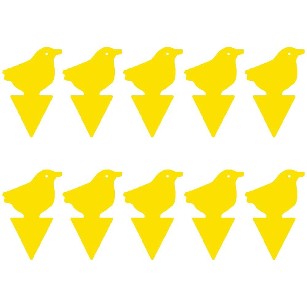 DYEXPRESS 20pcs Fruit Fly Traps Fungus Gnat Traps Yellow Dual-Sided ...
