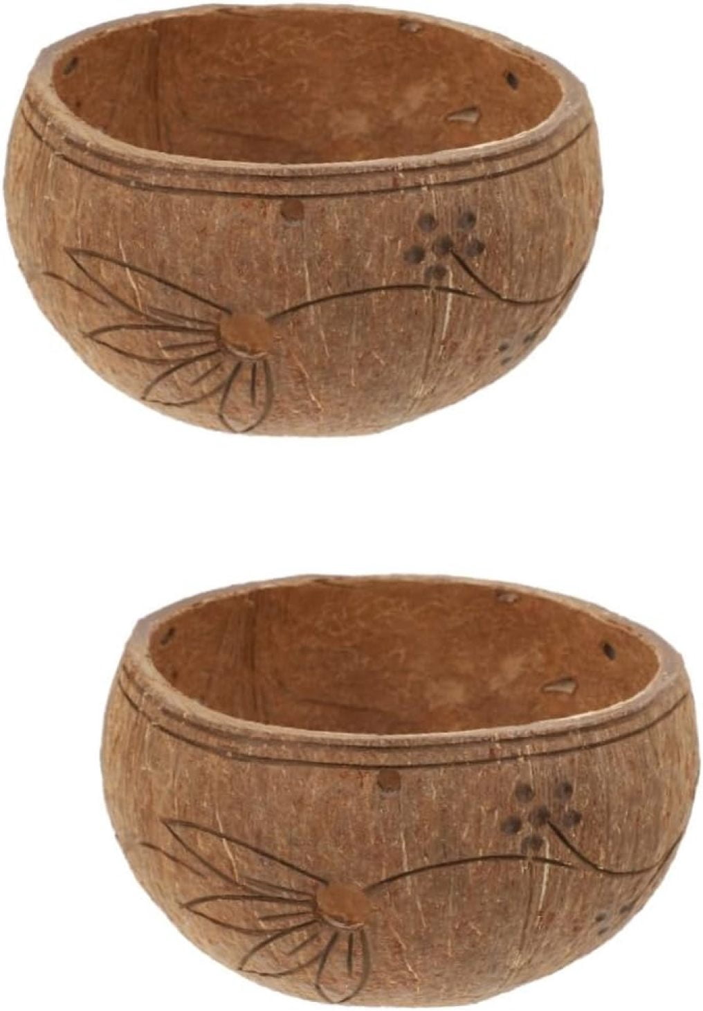 DYJP 2Pcs Hanging Planters for Indoor Plants Coconut Shell Plant Pots ...