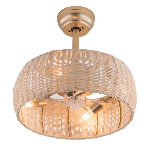 DYNAMI 17.7in Bamboo Caged Ceiling Fan with Lights, Farmhouse ...