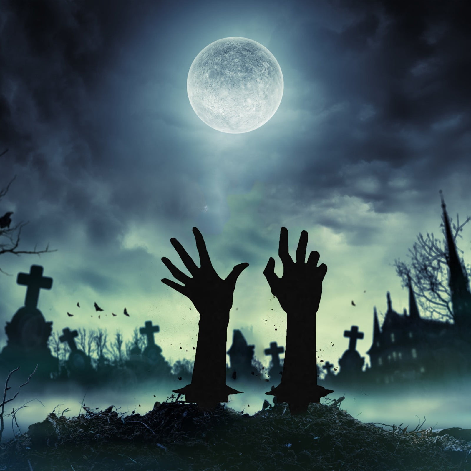 DYWADE Wall With Indoor Sky Upside Down Recycled Hanging Planter Pot ...