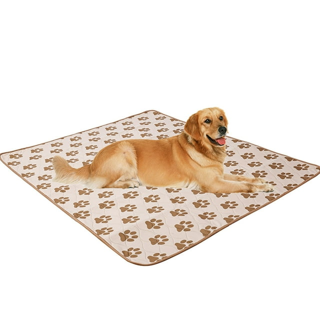 DYstyle Pet Dog Pad Reusable Anti-Urine Anti-Slip Dog Diaper Training ...