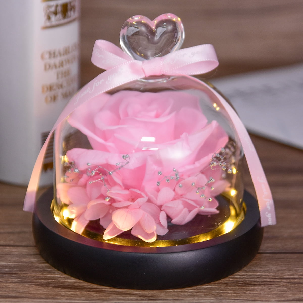 DYstyle Preserved Roses Flowers Real Rose in Glass Dome with LED String ...