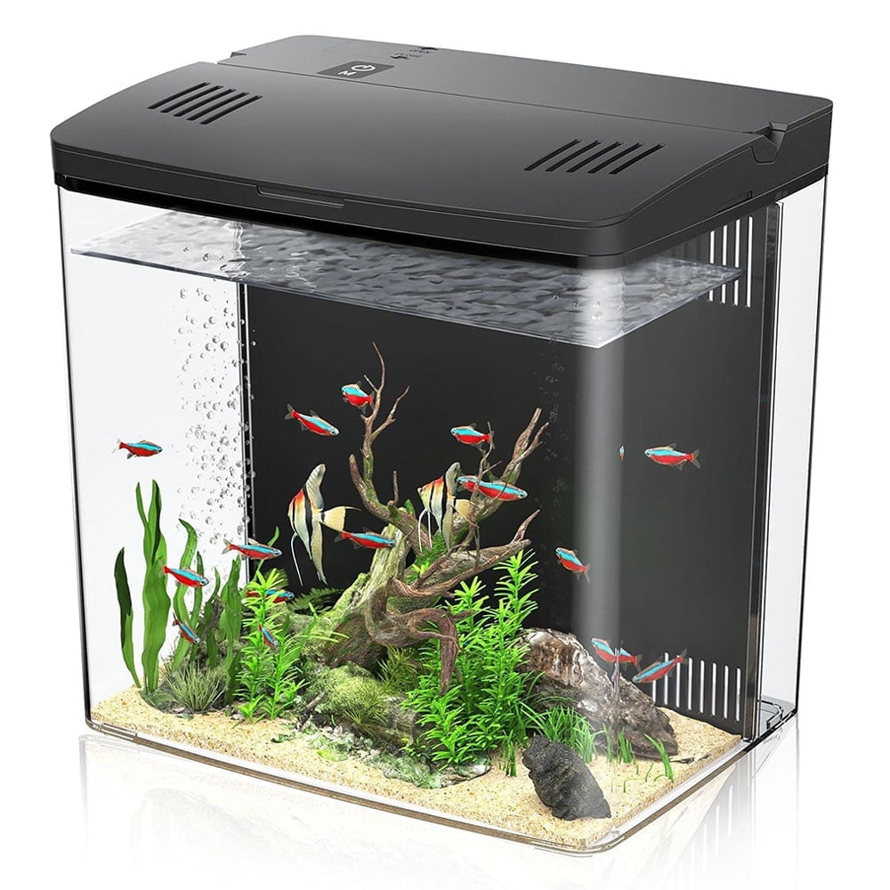 DaToo 1.2 Gallon Fish Tank Starter Kit With Filter & 5-Color LED Light ...