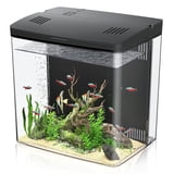 DaToo 1.2 Gallon Fish Tank Starter Kit With Filter & 5-Color LED Light ...