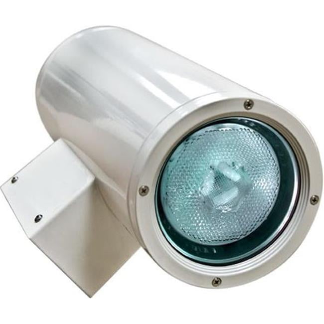 Dabmar Lighting DW3755-L50F-27K-W 120V-277V E26 2X LED 25W 27K Flood ...