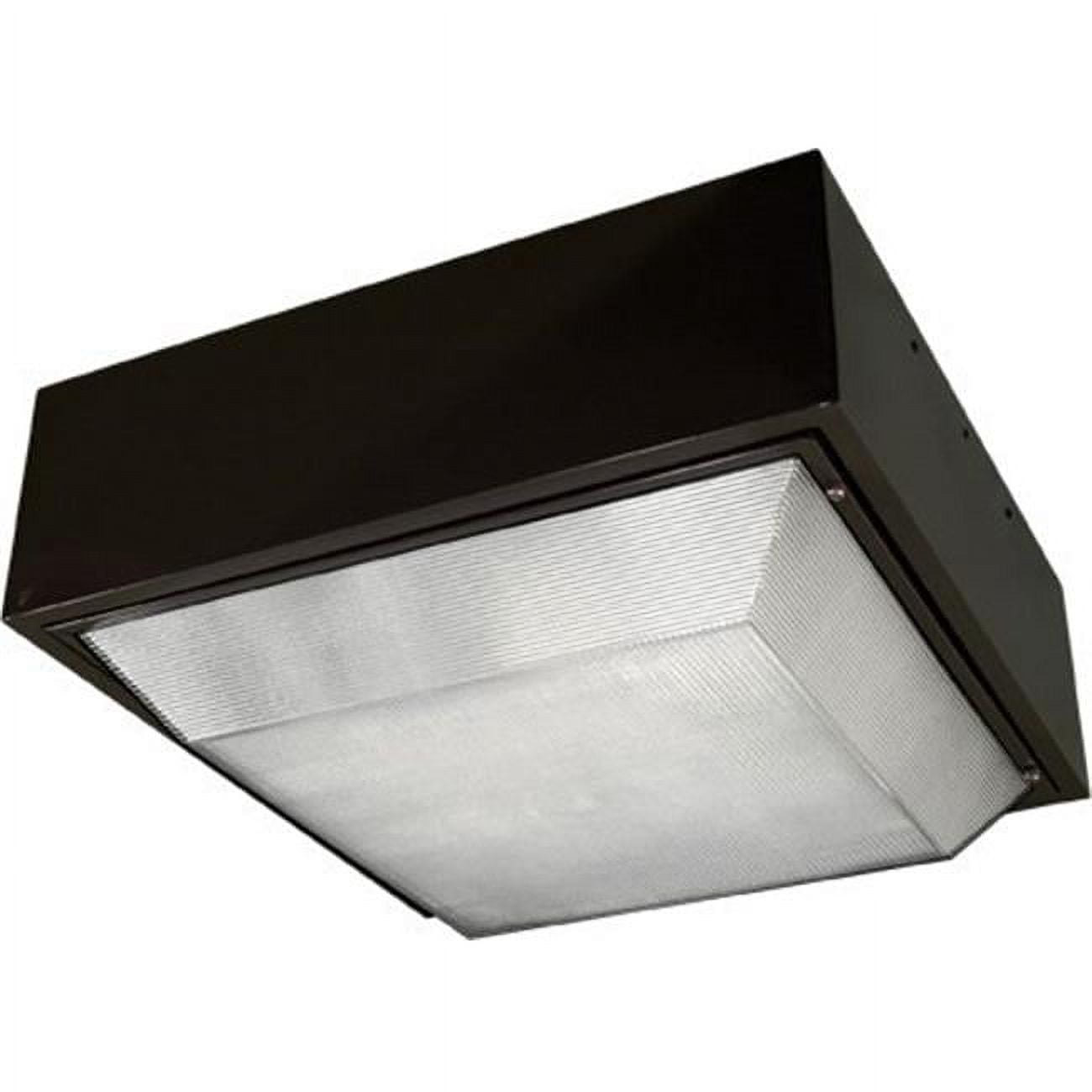 Dabmar Lighting 22.88 x 22.88 x 10 in. 400 watts Powder Coated Cast ...