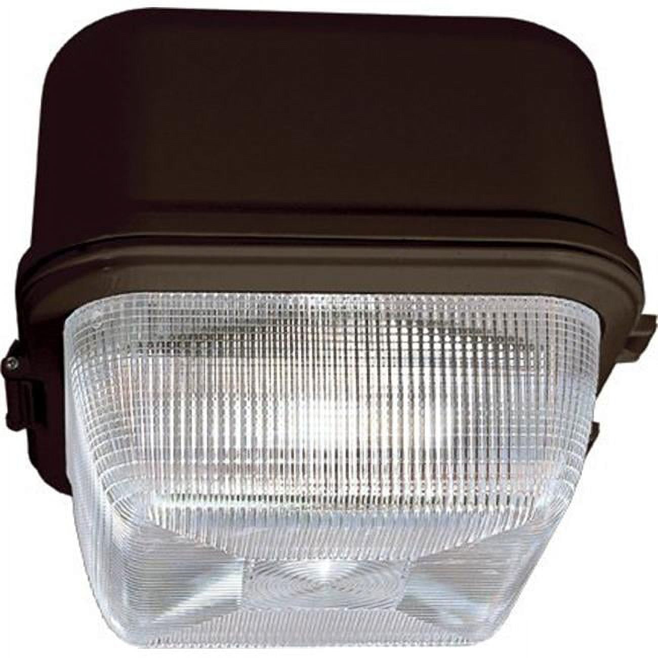 Dabmar Lighting DW8867-BZ-MOG 14.35 x 14.35 x 13.60 in. 120 V 175 watts ...