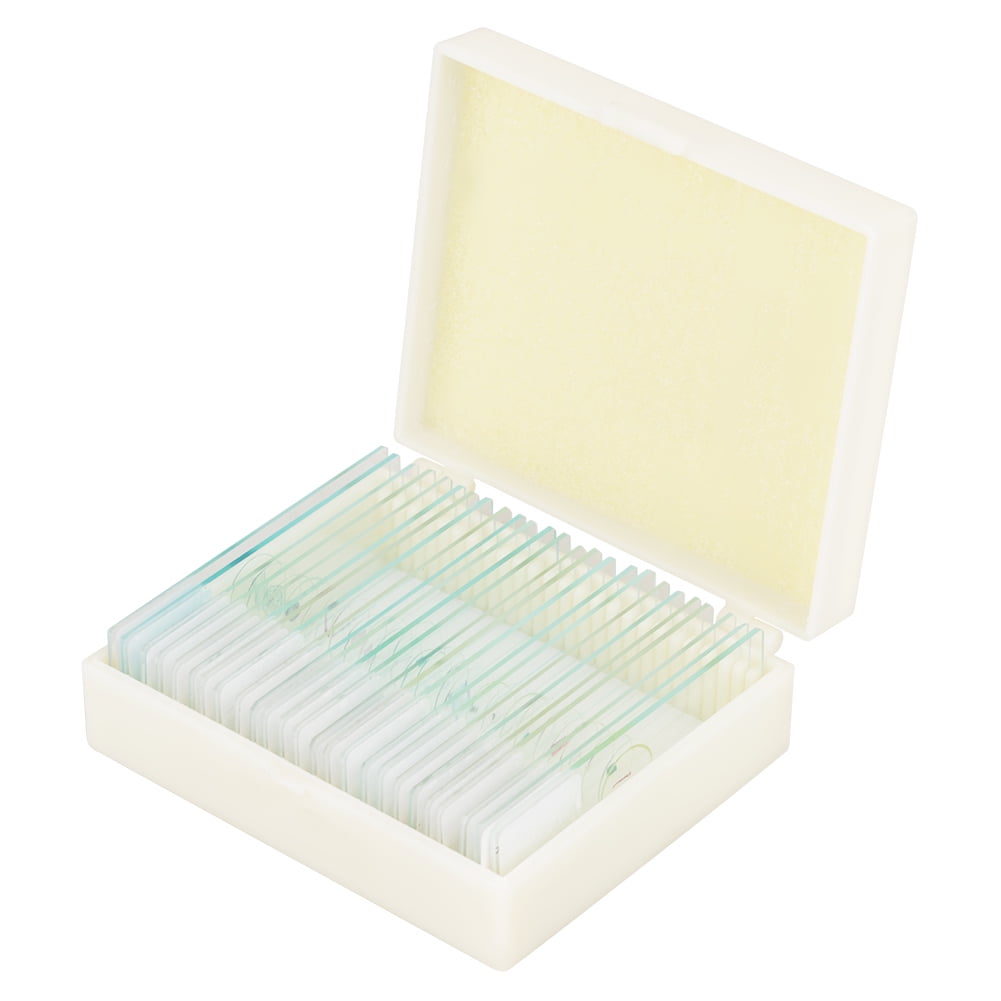 Daboolka 25pcs Biology Glass Prepared Microscope Slides Lab Specimens ...