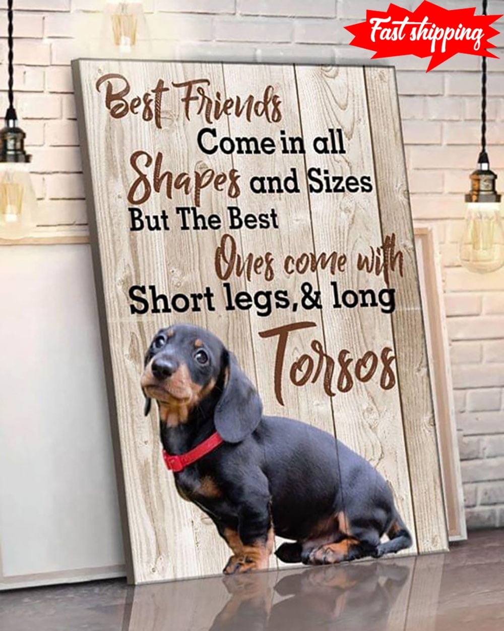 Dachshund Best Friends Come In All Shapes And Sizes But The Best Ones ...