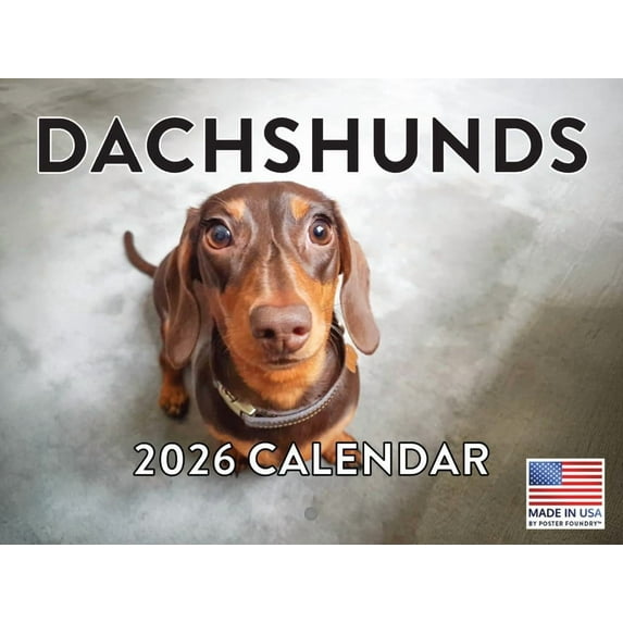 Dachshund Calendar 2026 Wall Monthly Dachshunds Gifts For Lovers Women ...