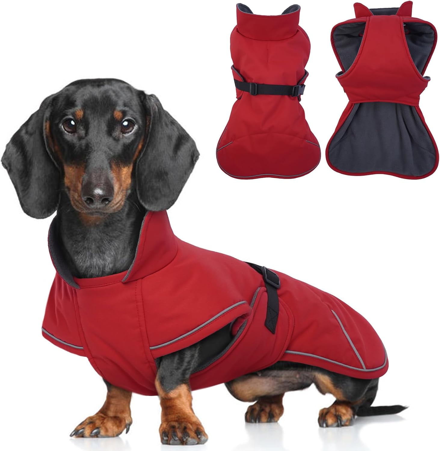 Dachshund Coat Waterproof Dog Winter Coat for Dachshund Clothes for ...