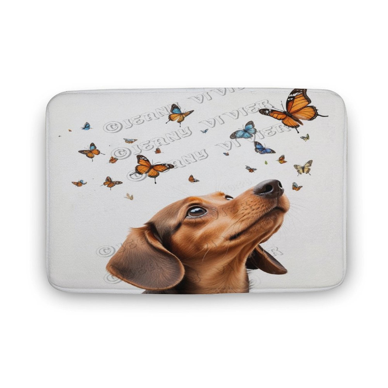 Dachshund Dog Cute Dog Bath Rug, Bathroom Mat Non-Slip Soft Shower Rug ...