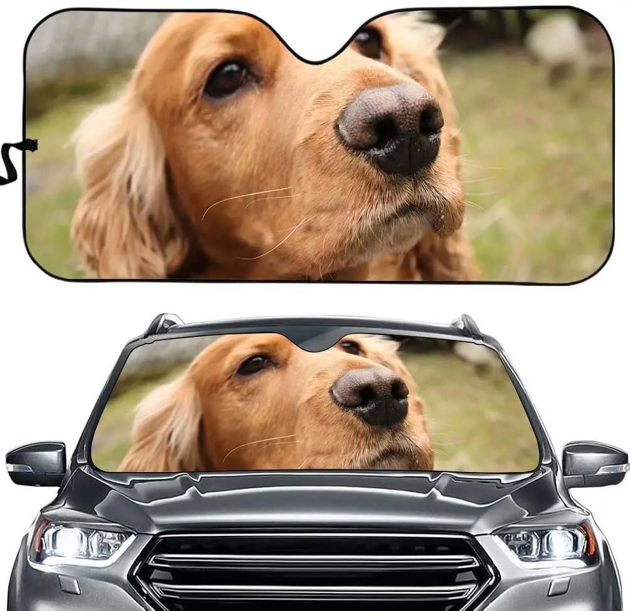 Dachshund Family Funny Safe And Driver Auto Sun Shade1 Windshield ...