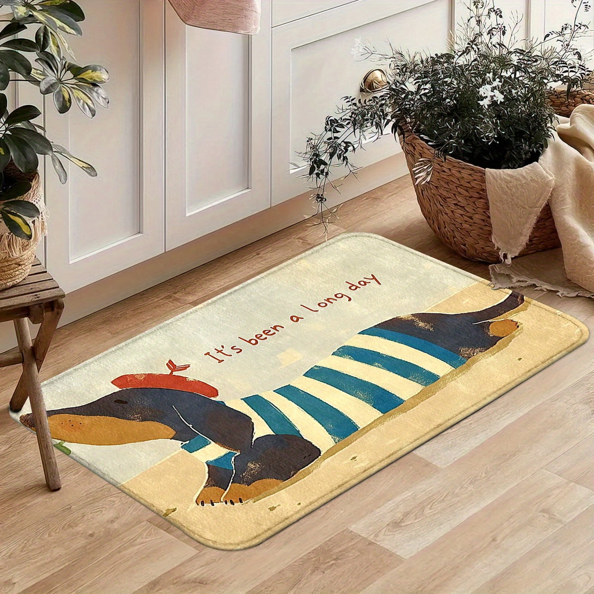 Dachshund Flannel Floor Mat Set, Super Absorbent Soft Entry Rug for ...
