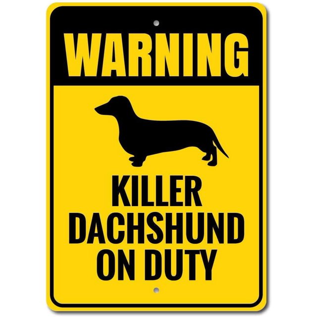 Dachshund Gift Dachshund Dachshund Decor Dachshund Owner Sign Funny ...