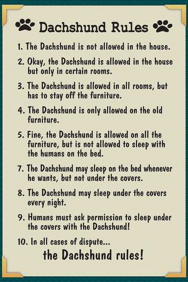 Dachshund House Rules, Animals Unframed Art Print Wall Art Sold by Art ...