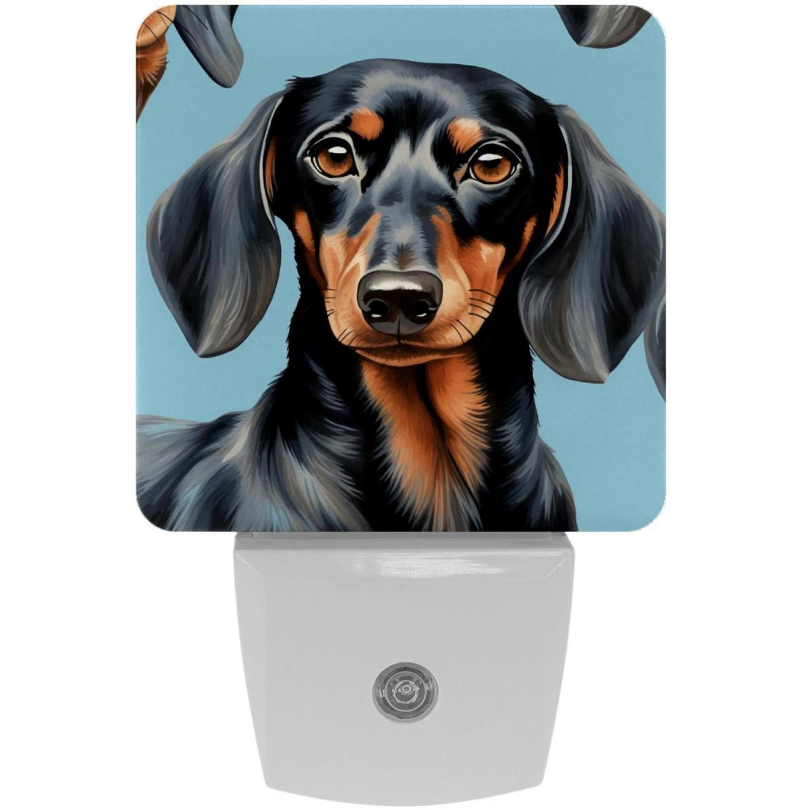 Dachshund LED Square Night Lights - Energy Efficient & Elegant ...