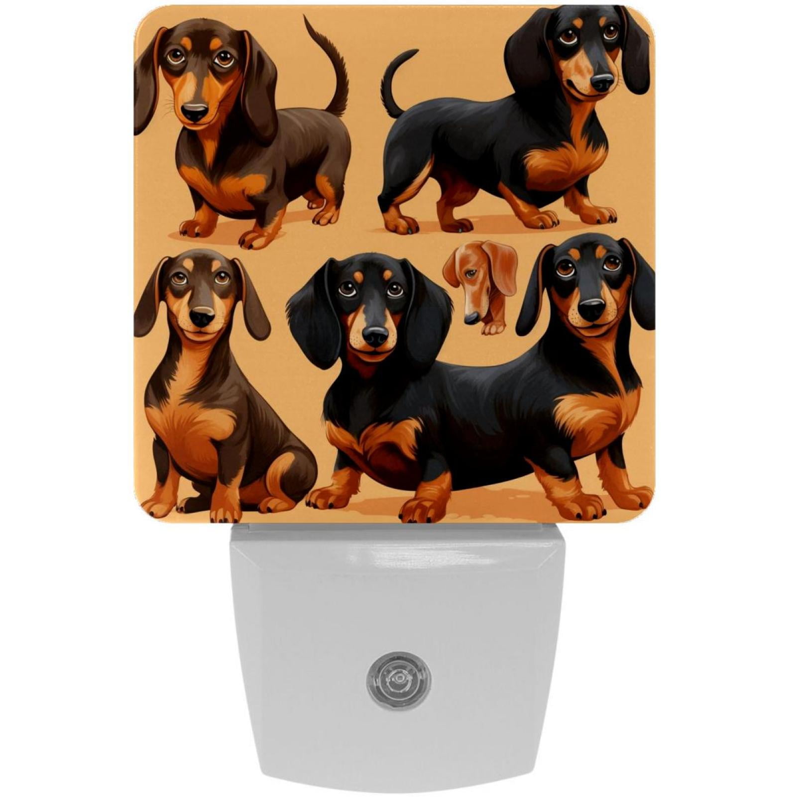 Dachshund LED Square Night Lights - Stylish and Functional Nightlight ...