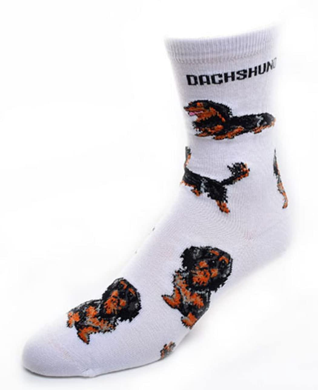 Dachshund Long Haired Socks Poses 2 - Walmart.com