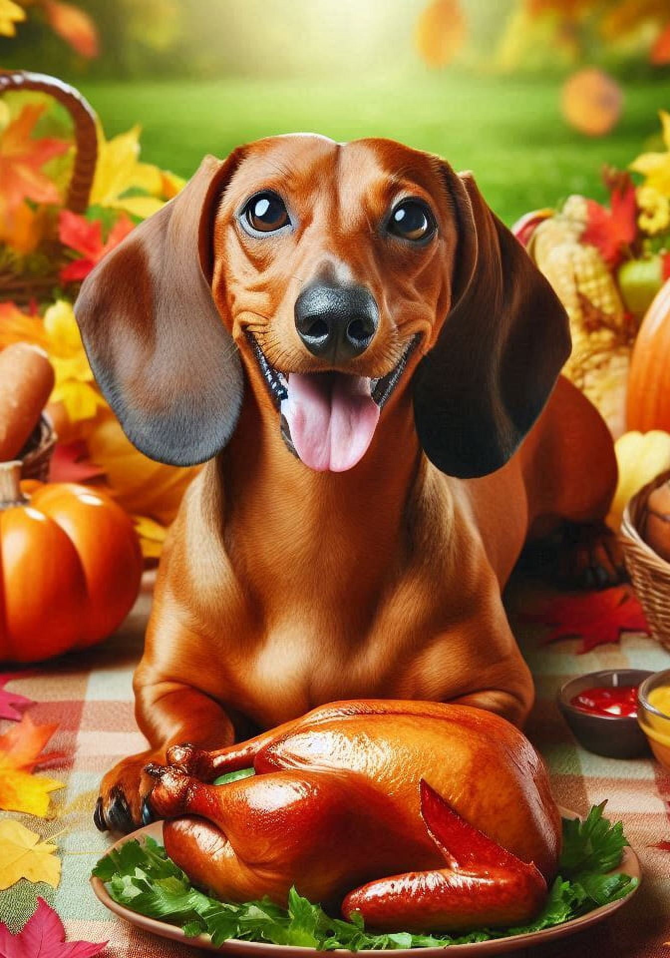 Dachshund Red - Best of Breed DCR Thanksgiving House Flag 28" x 40 ...