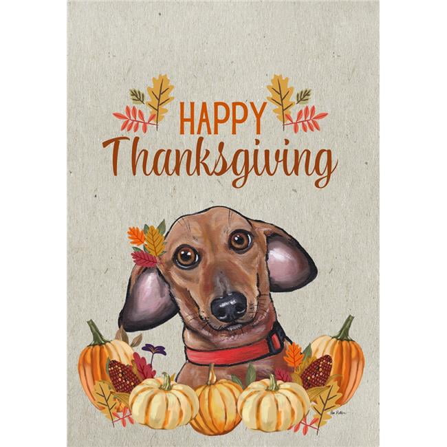 Dachshund Red - HHS Best of Breed Thanksgiving Garden Flag - Walmart.com