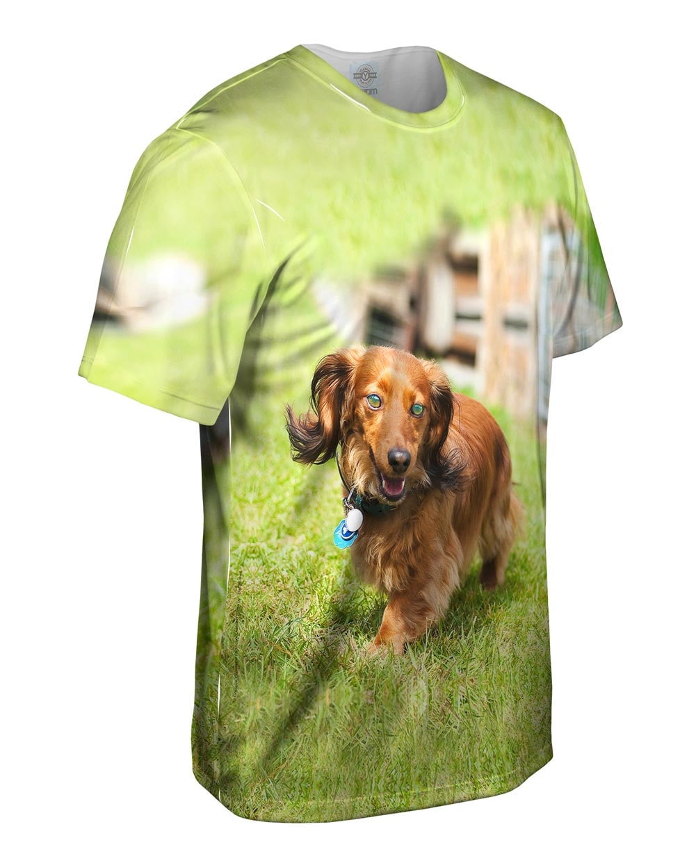 Dachshund Surveys Backyard Mens T-Shirt All Over Print - Walmart.com