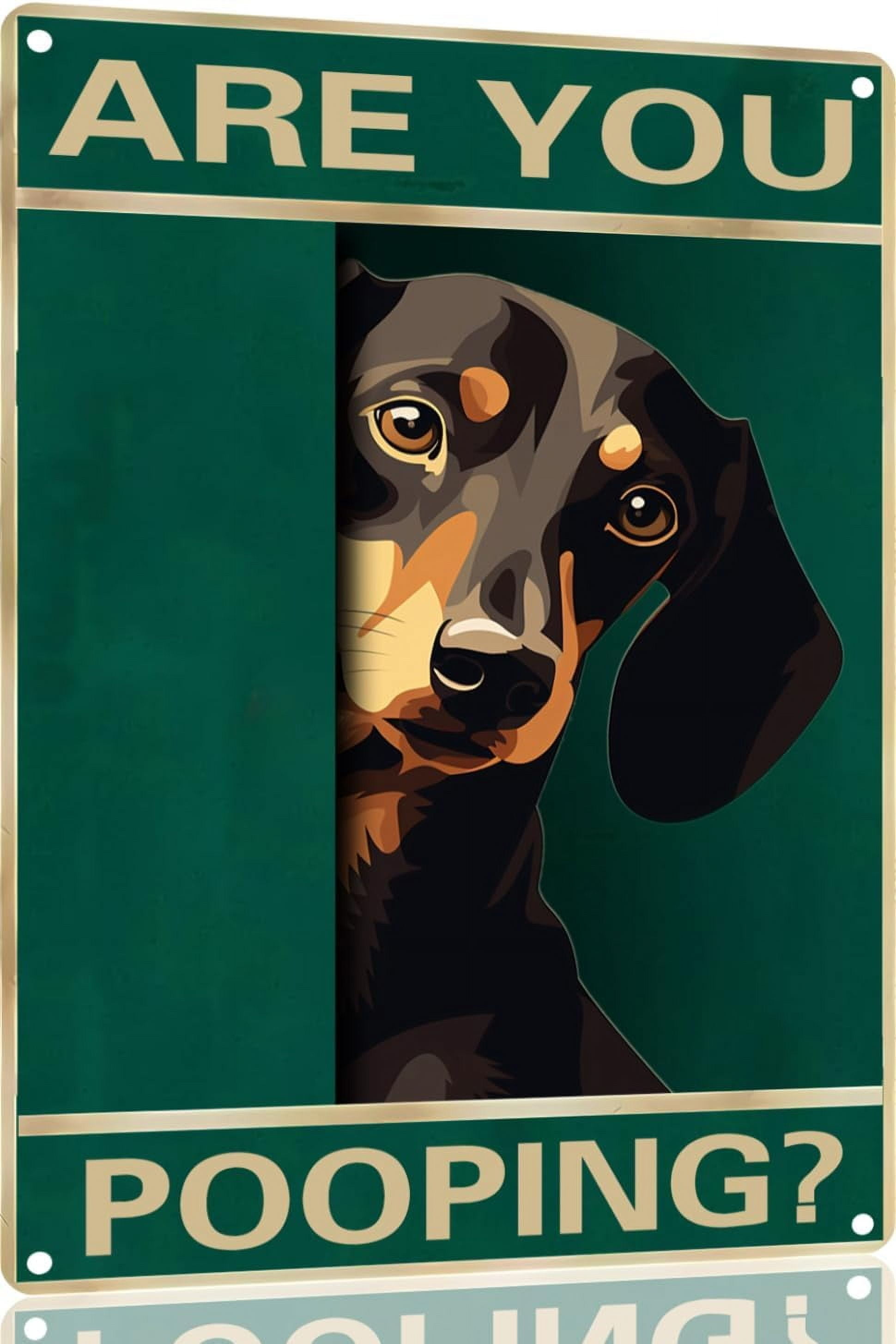 Dachshund Vintage Metal Tin Sign Are You Pooping Sign Bathroom Funny ...
