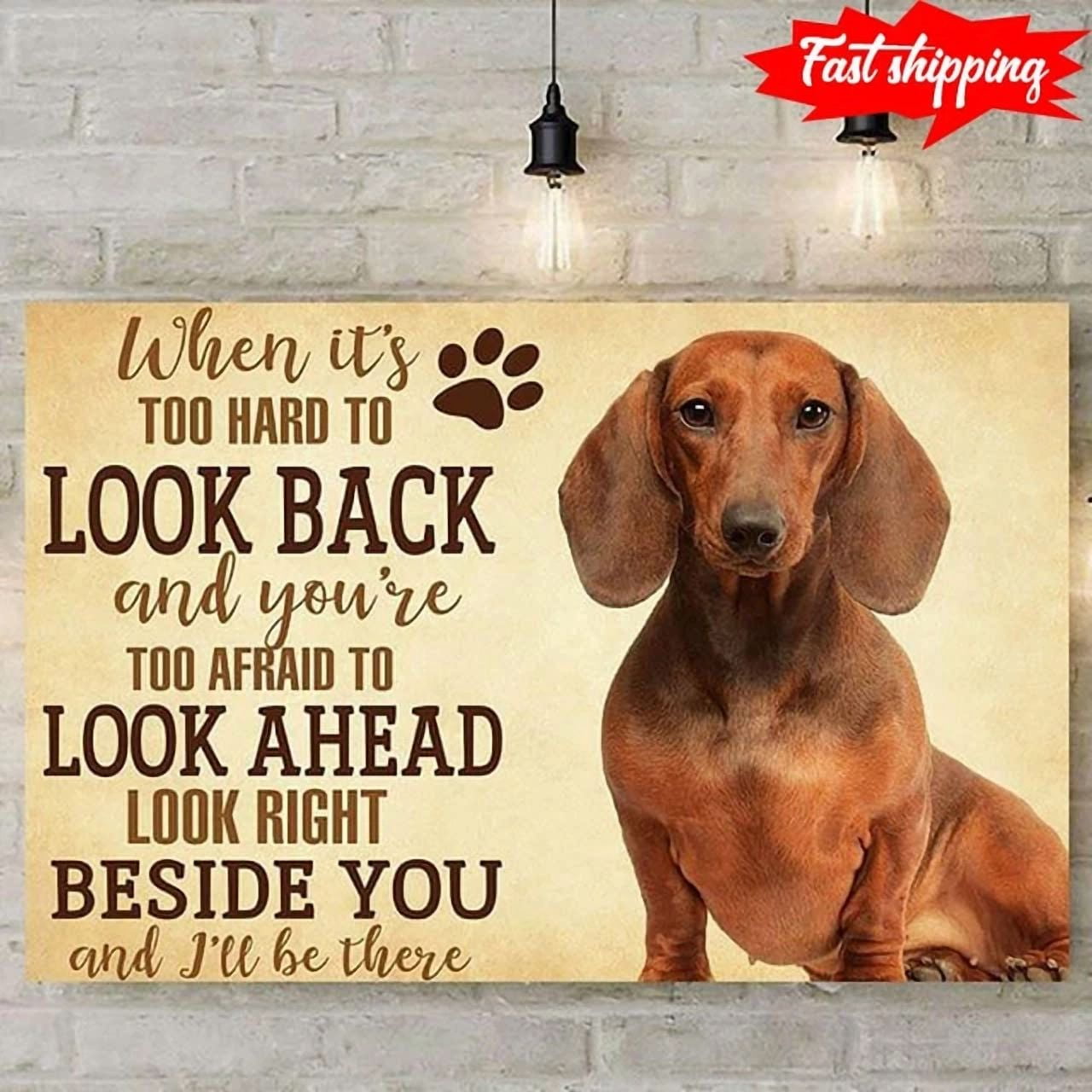 Dachshund When Its Too Hard To Look Back And Youre Too Afraid To Look ...