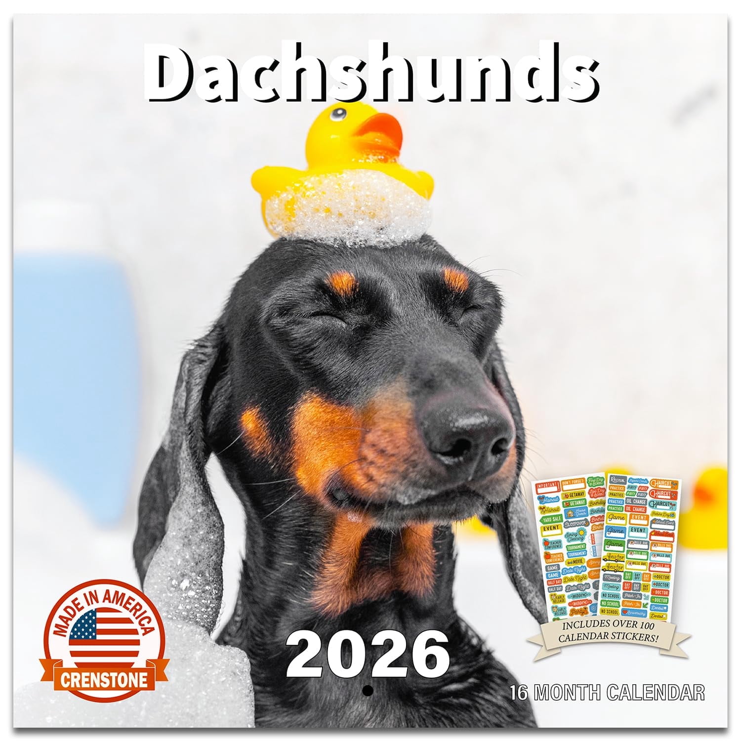 Dachshunds Calendar 2026 - Deluxe 2026 Wiener Dog Wall Calendar Bundle ...