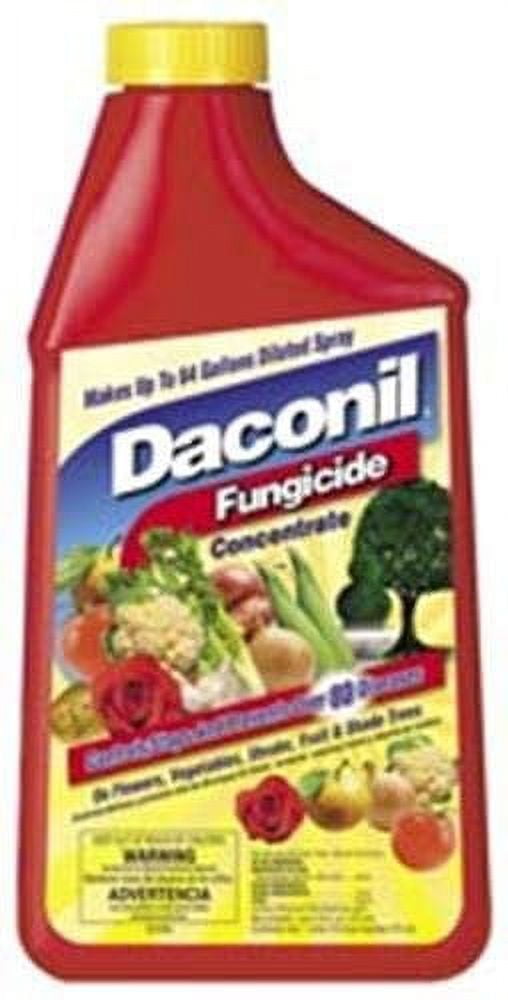 Daconil Fungicide Concentrate 16 oz, Protects Flowers, Vegetables ...