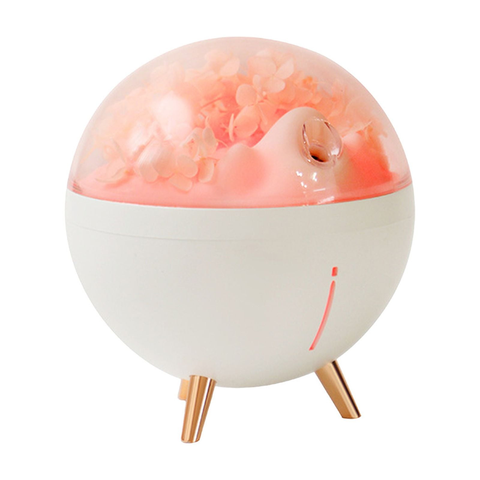 Dadatutu Preserved Flower Portable Humidifier, 260Ml Mini Humidifier ...