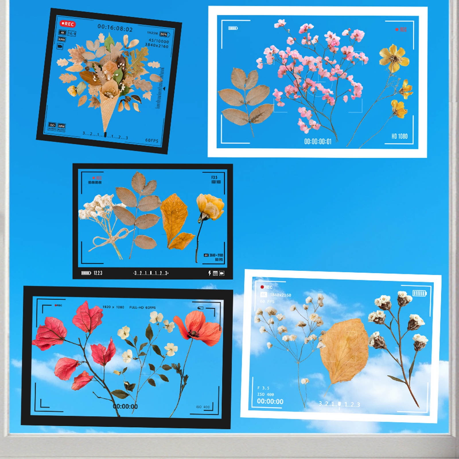 Dadiaei Vintage Film Flower Maple Leaf Window Sticker Reusable Window ...