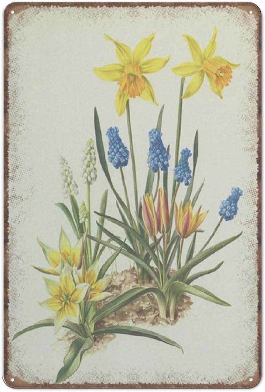 Daffodil Botanical Tin Signs,1964 Vintage Tulip Botanical Art Spring ...